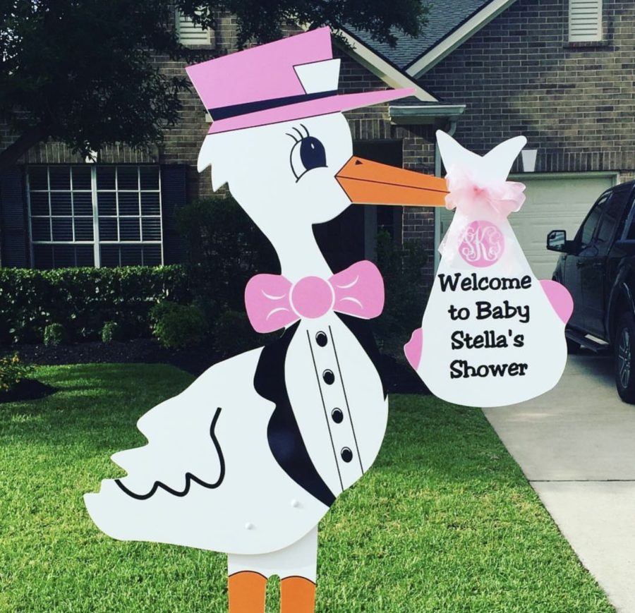 Baby Shower Stork Rental Dade City, Florida - Baby Storks and More